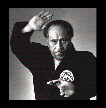 ¿Sabes qué es el Arte Marcial de Lima Lama? - Artes Marciales